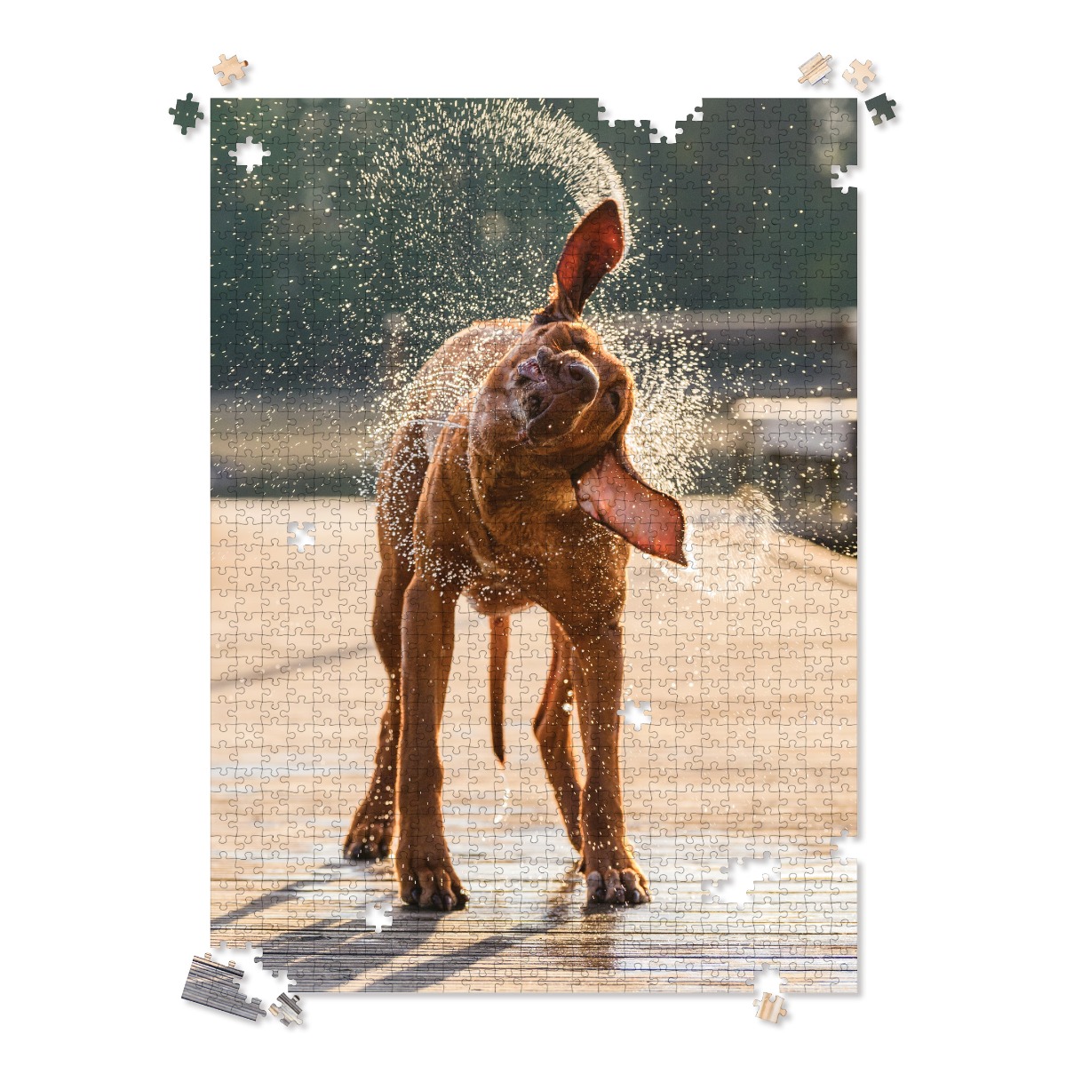 Personalized Photo Puzzle, Portrait / Vertical – 1000 Pieces | I See Me!